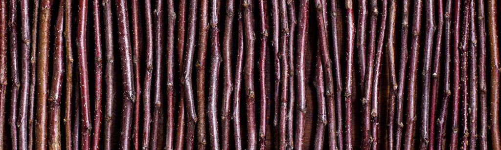 Grafting Wood - Foggy Ridge Cider