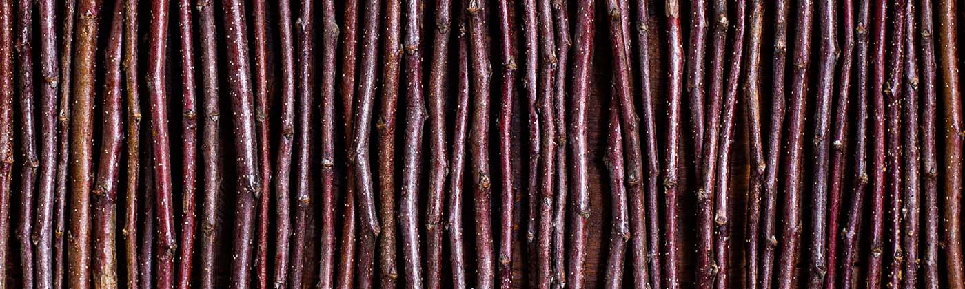 Grafting Wood - Foggy Ridge Cider